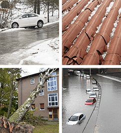 Vera schroeder pussy she oozes sensuality and is expert in