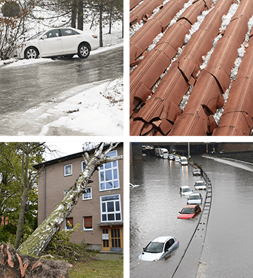 Vera schroeder pussy she oozes sensuality and is expert in