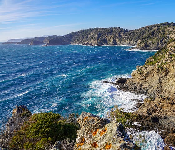 Marine weather - Free 15-day Marine forecasts - METEO CONSULT MARINE