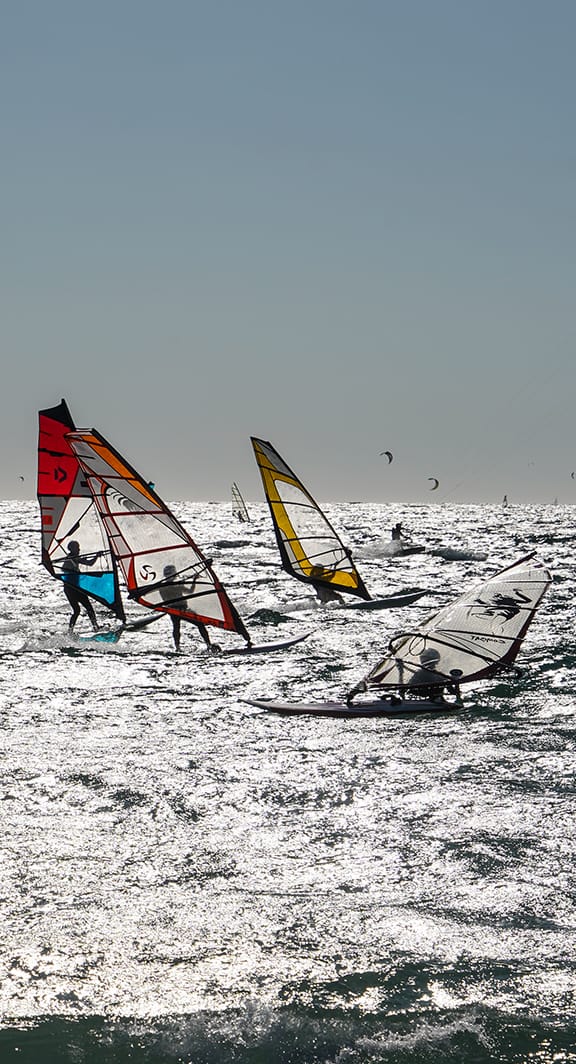 Swell map - Free 15-day Marine forecasts - METEO CONSULT MARINE