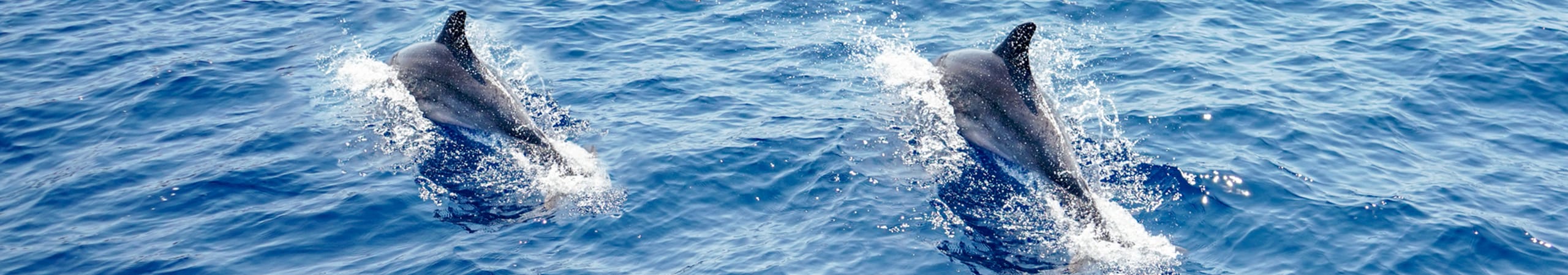 Weather Royan - Detailed bulletin - Free 15-day Marine forecasts ...